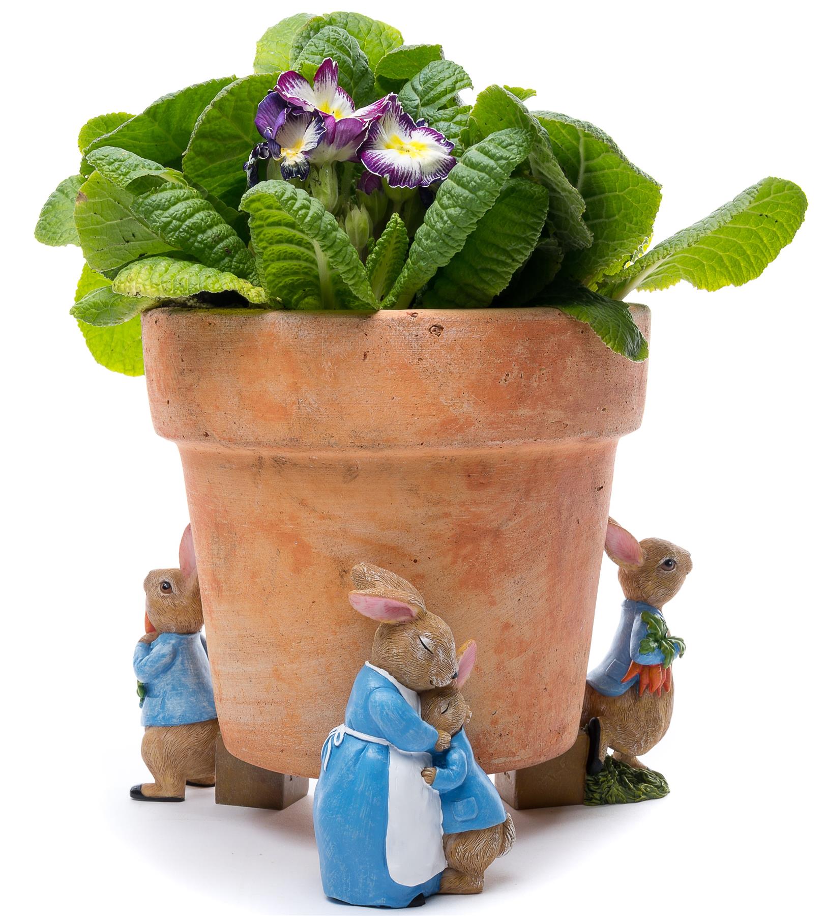 Beatrix Potter Peter Rabbit Plant Pot Feet - Set of 3 - Peter Eating ...