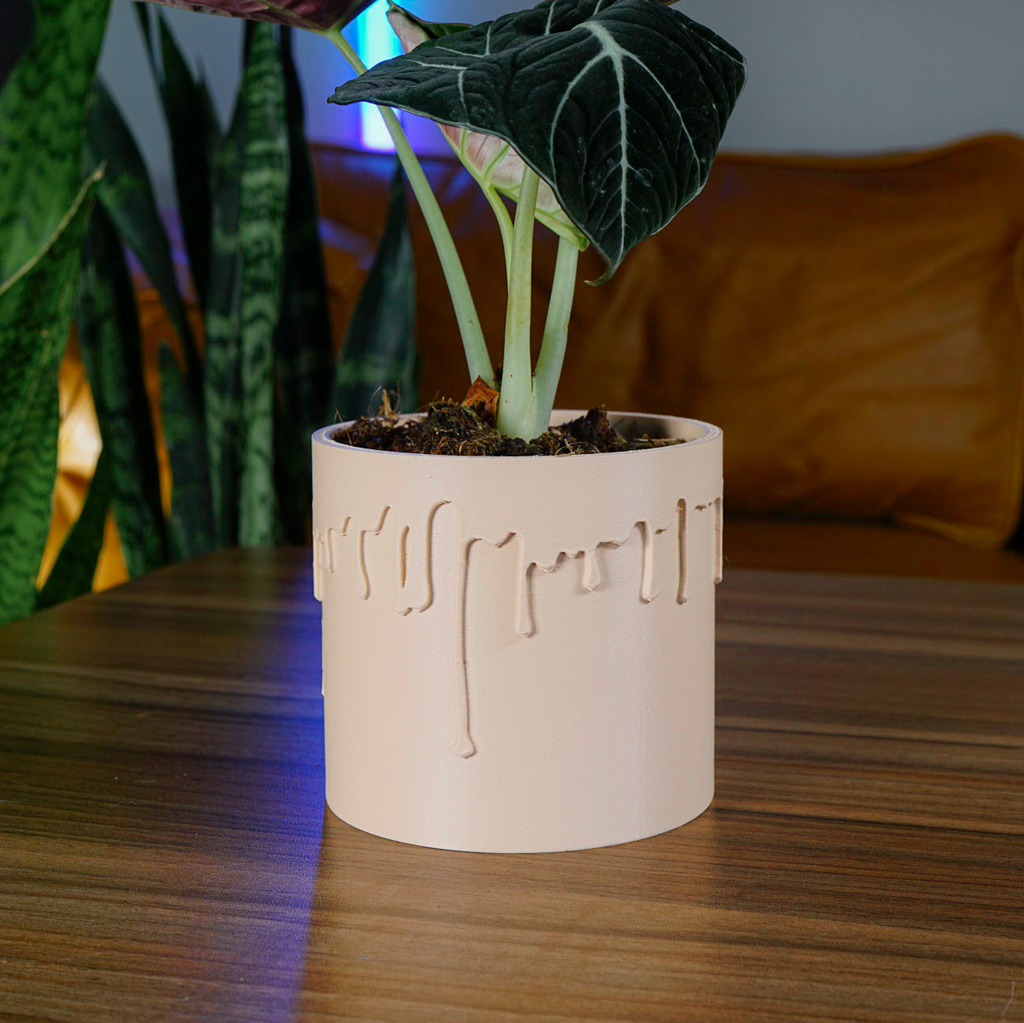 Drip Pot, 4 Inch Indoor Planter, 3D Printed Pots | CREOATE
