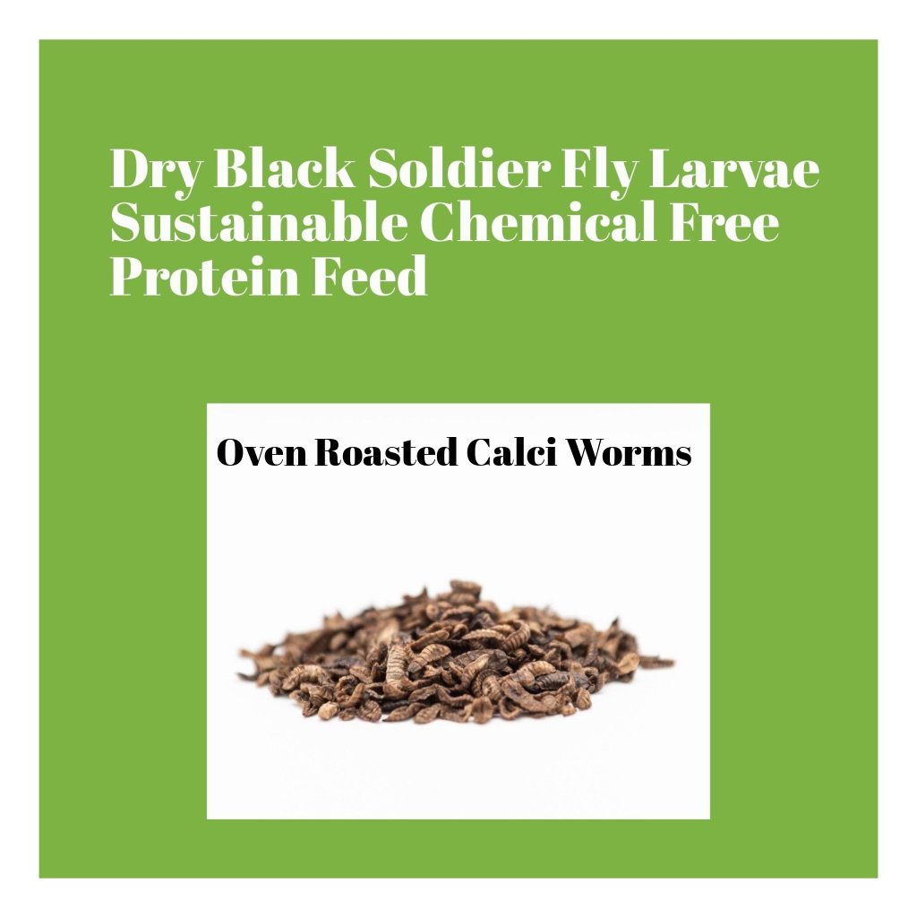 Wormganix 100% Natural Dry Oven Dried BSF Black Soldier Fly Larvae ...