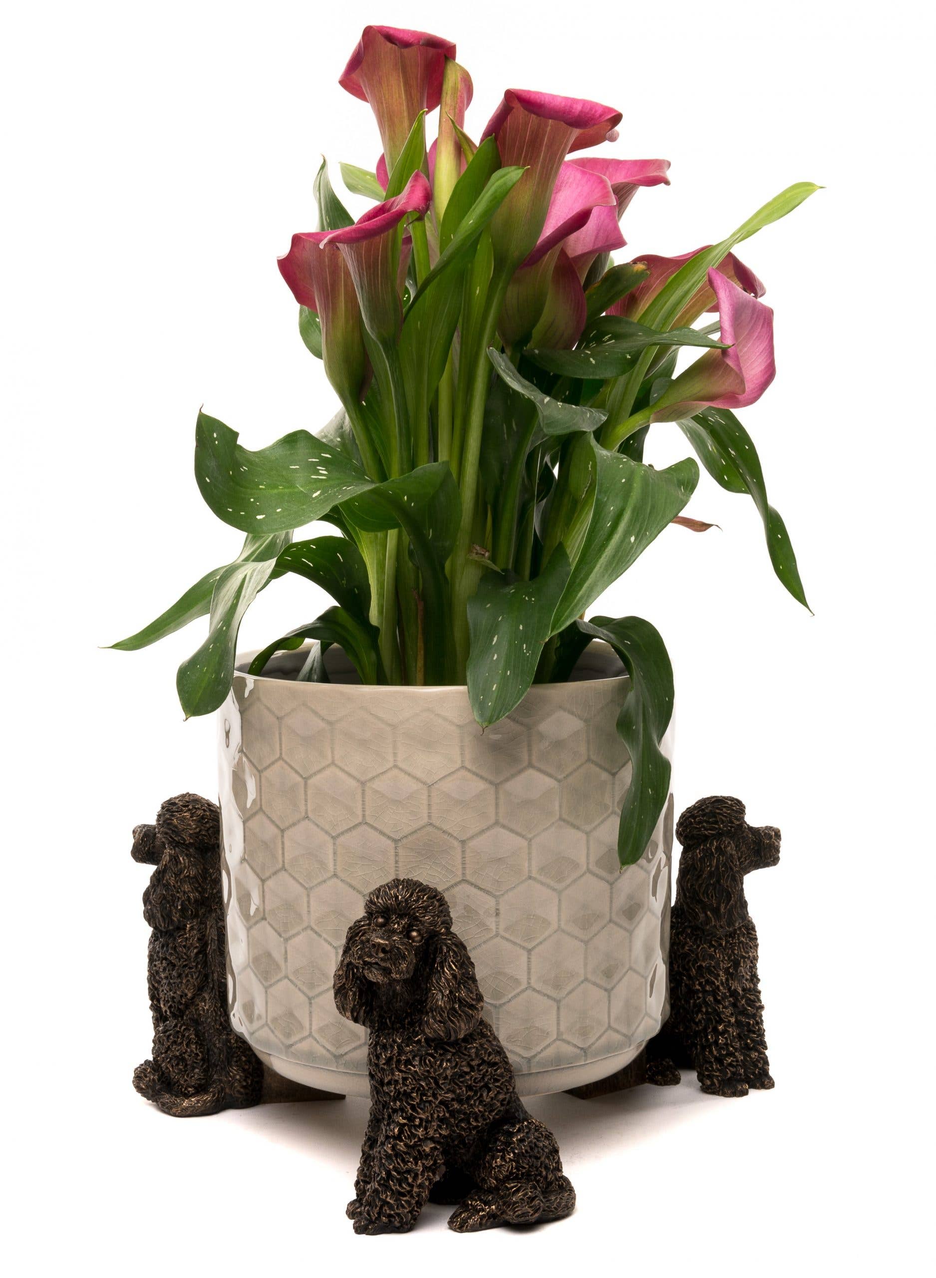 Poodle Plant Pot Feet - Set of 3 | CREOATE