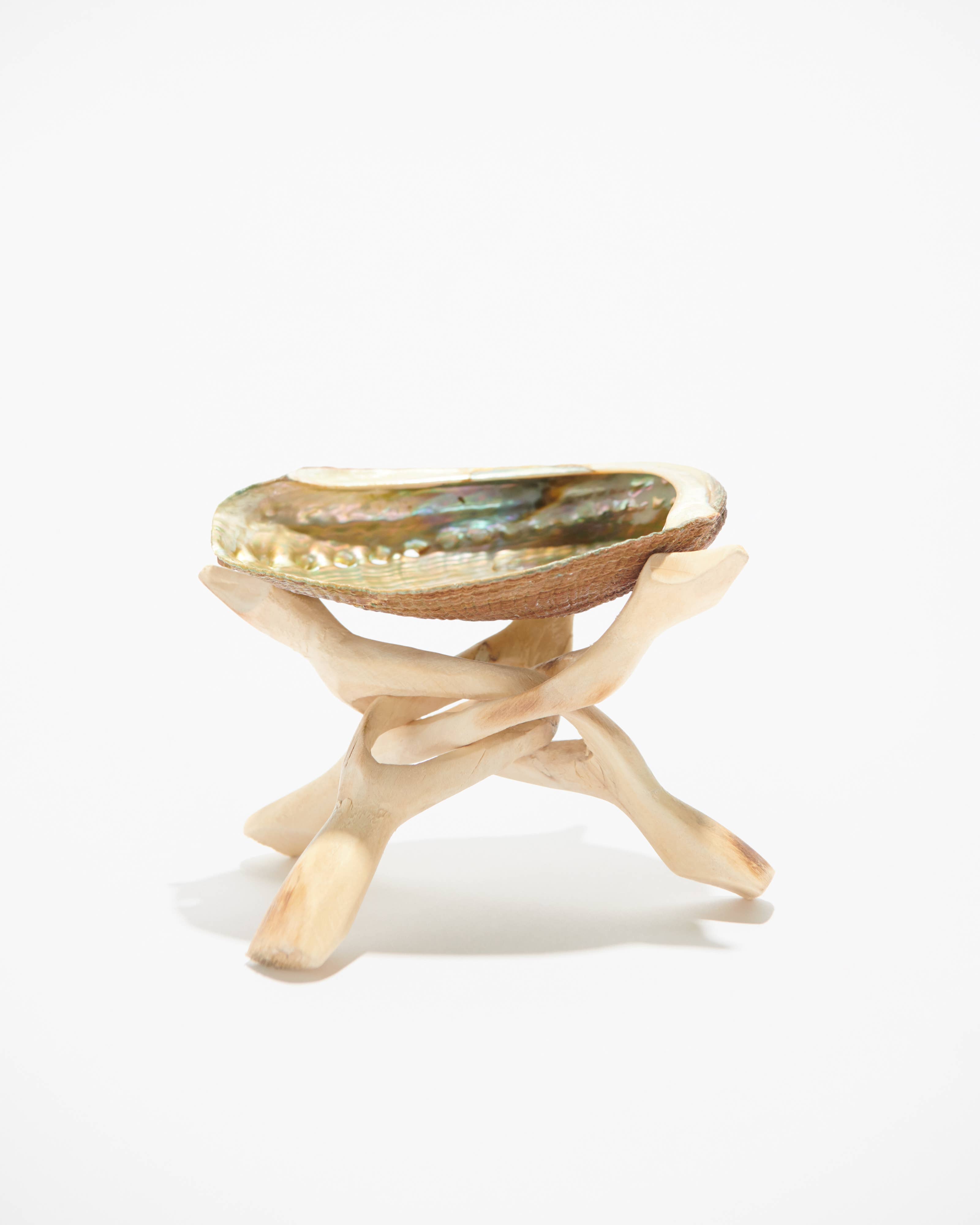 Abalone Shell Stand, Cobra Tripod, Wooden Tripod Stand | CREOATE