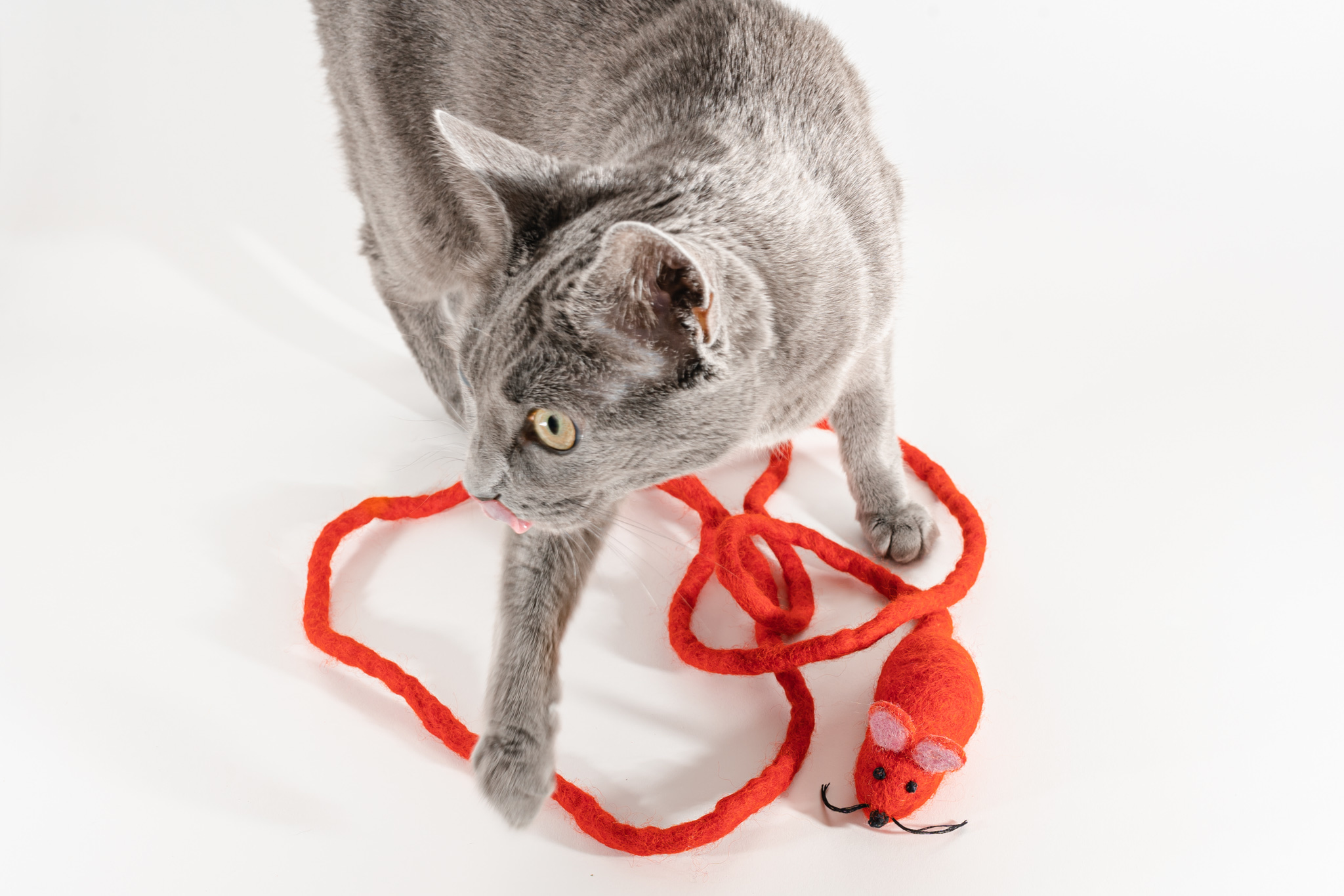 Catch a Mouse by the Tail: Wool Mouse Cat Toy With 6-Foot-Long Tail - Red